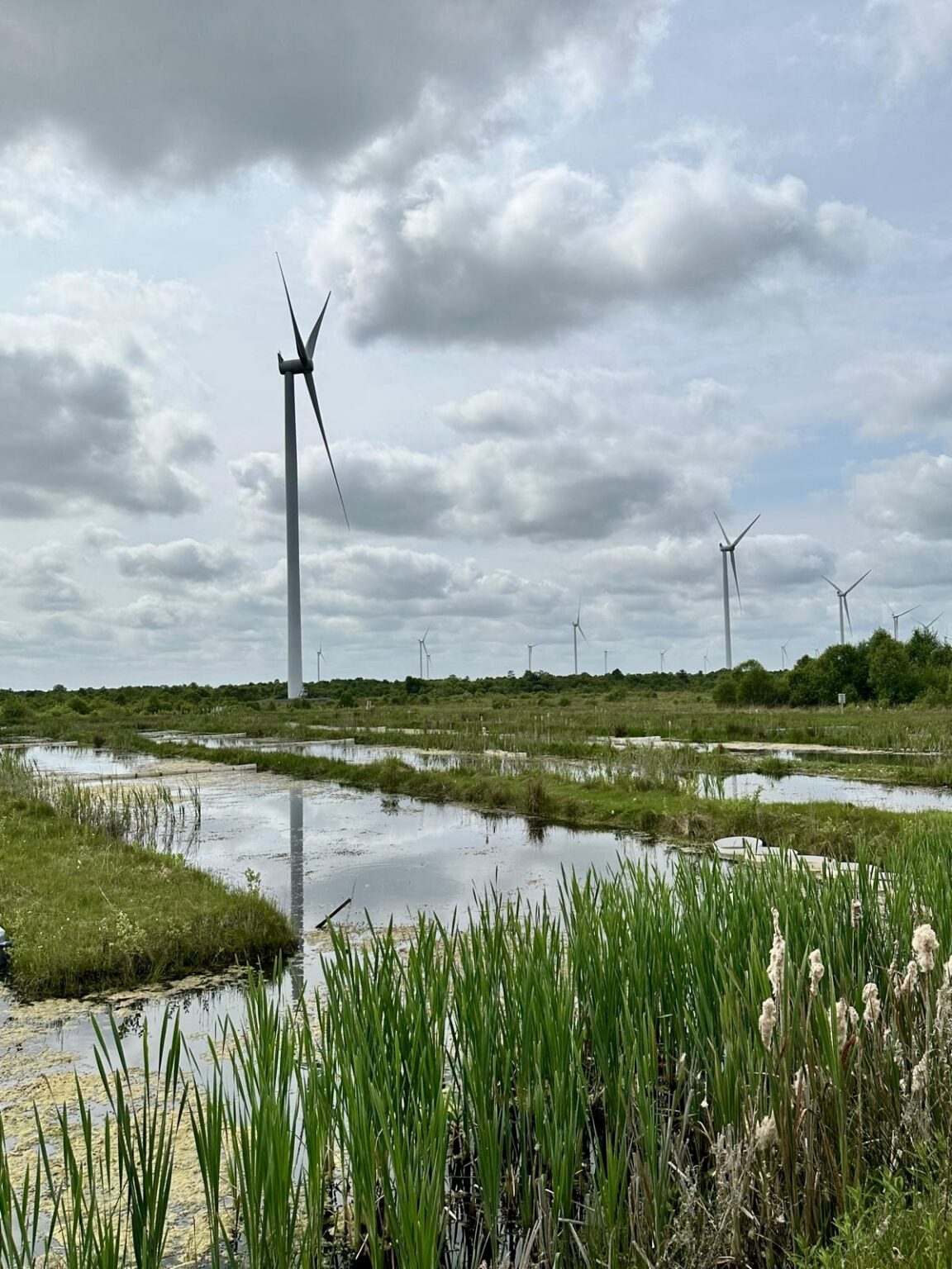 €5 Million Investment for Mount Lucas Sustainability Site Led - TUS